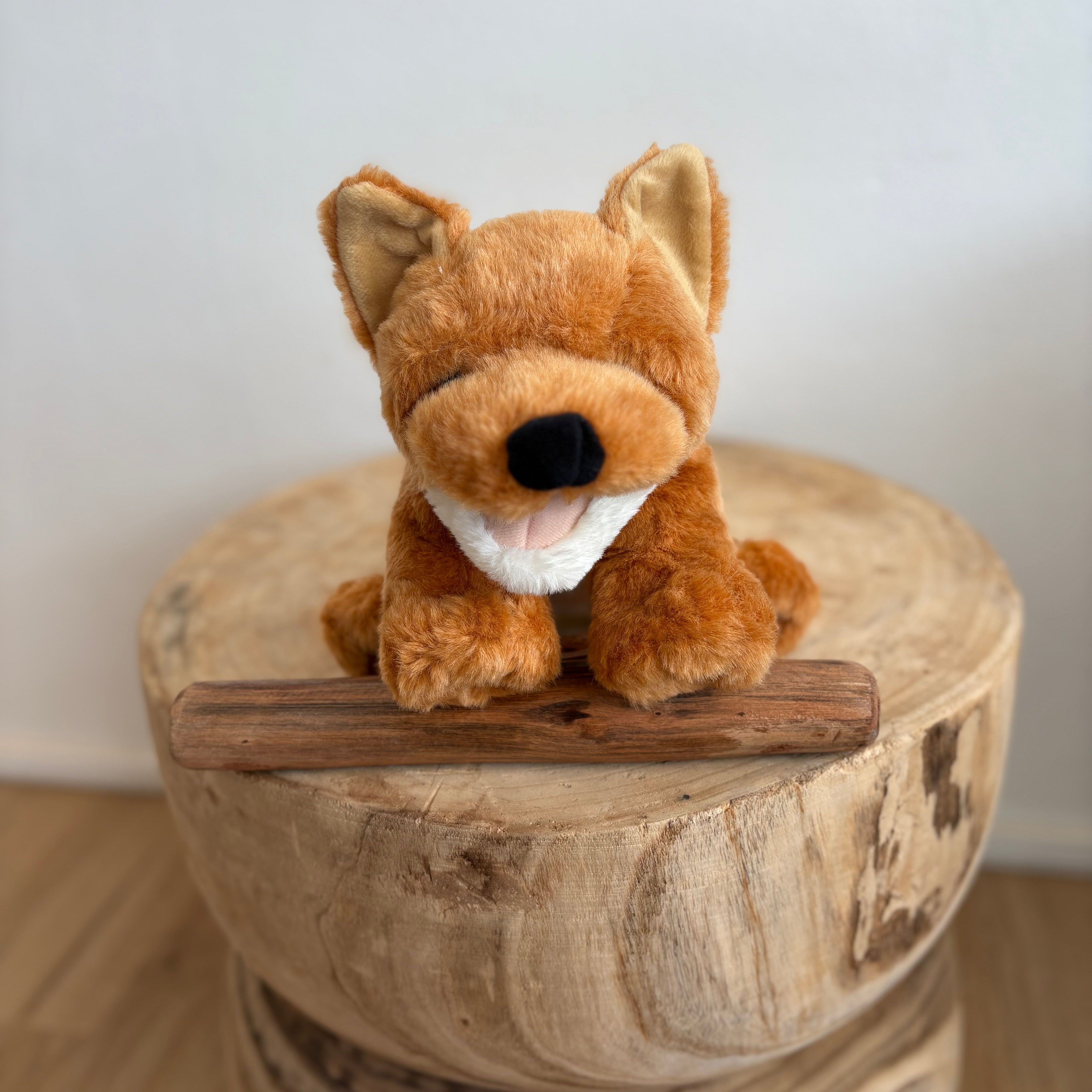 Dingo Hand Puppet | Early Learning Education | Through Play ...