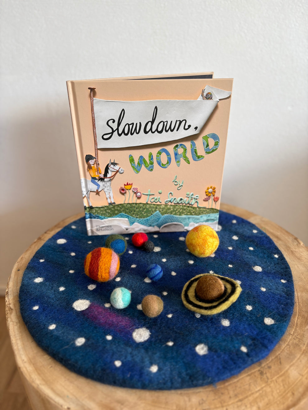 Slow Down, World by Tai Smaith (Hard Back) – Connecting The Dots ...