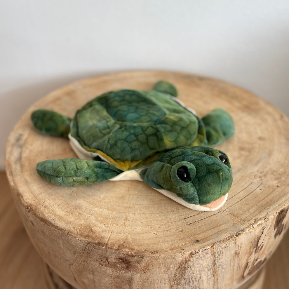 Sea Turtle Hand Puppet | Early Learning Education | Through Play ...