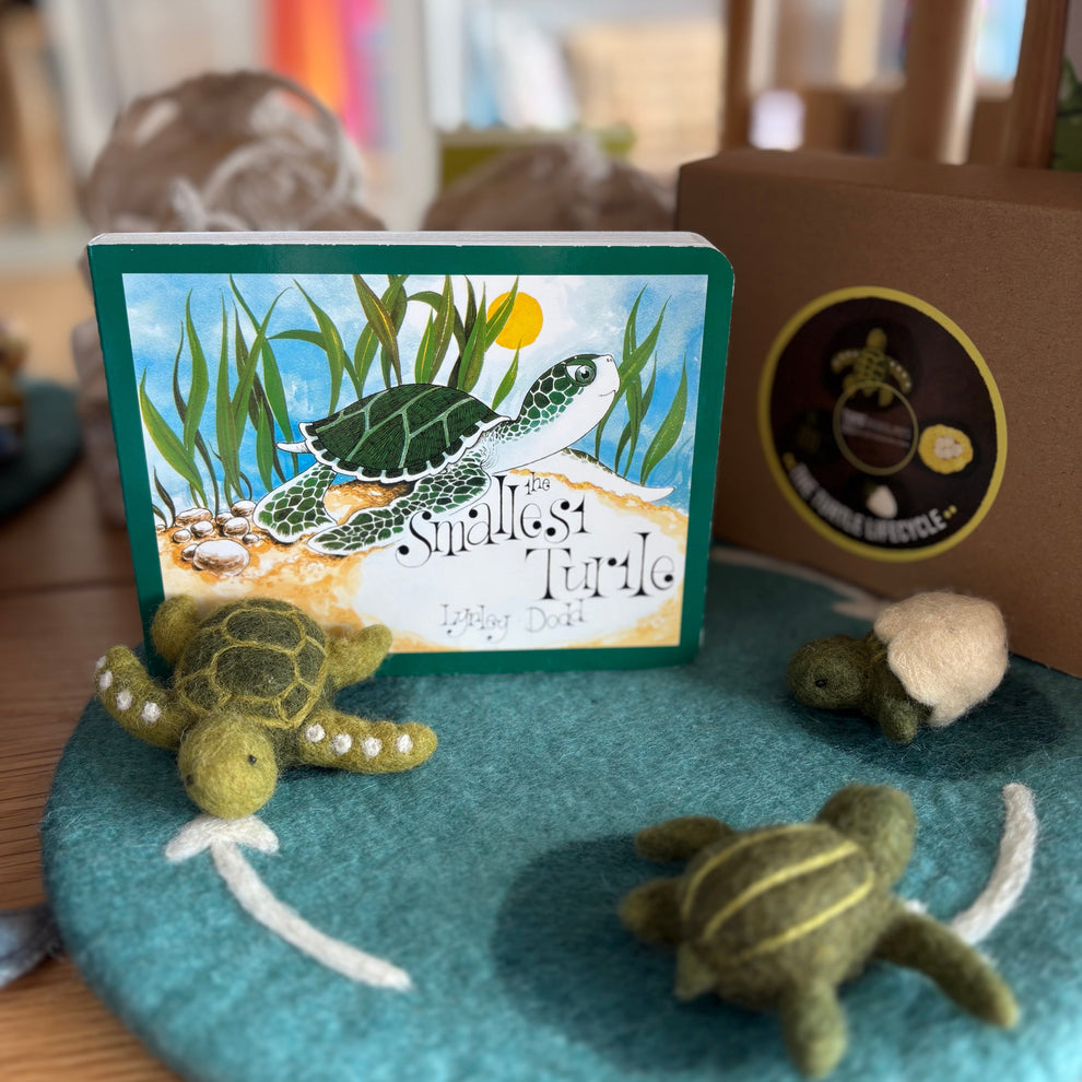 The Smallest Turtle by Lynley Dodd (Board Book) – Connecting The Dots ...