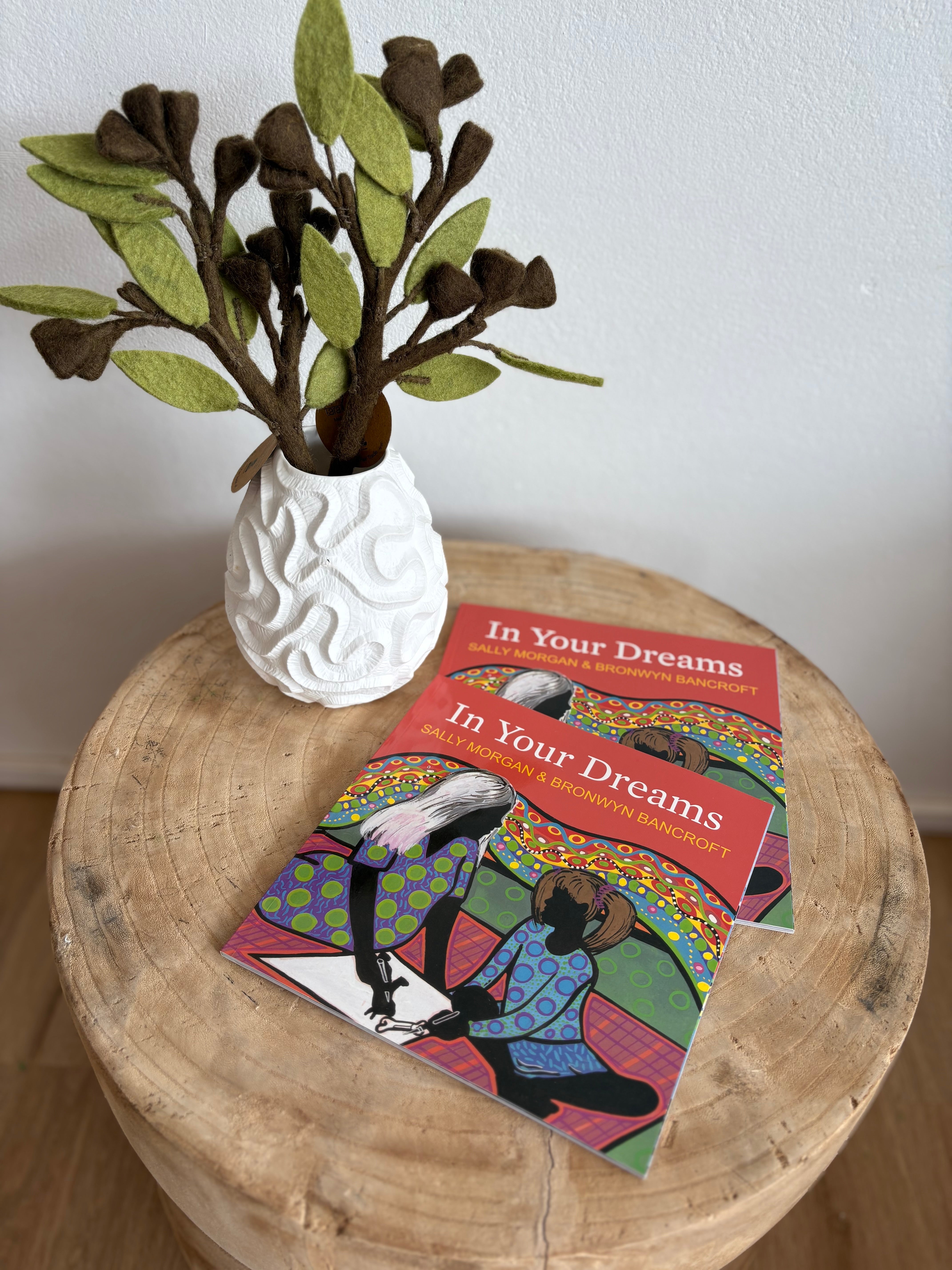 In Your Dreams by Sally Morgan & Bronwyn Bancroft (Paper Back ...