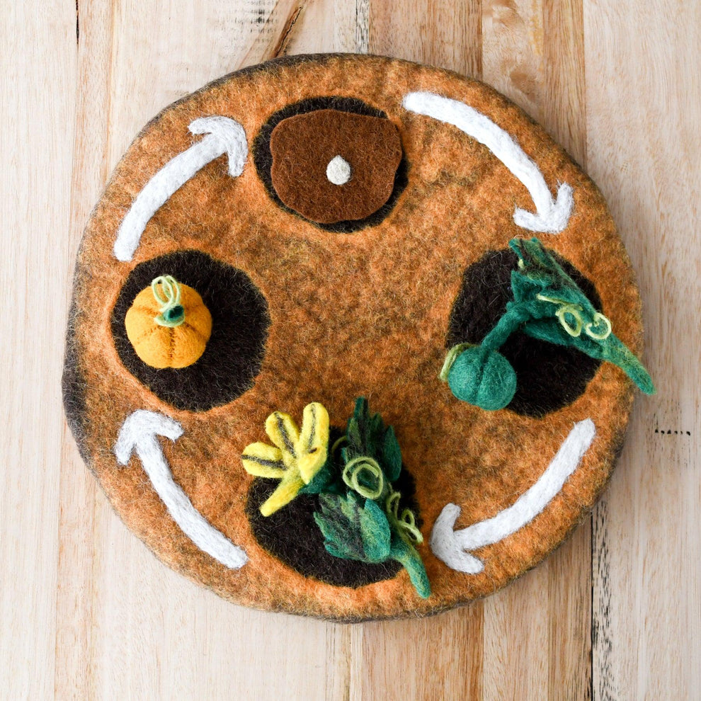 Felt Lifecycle of Pumpkin – Connecting The Dots Through Play
